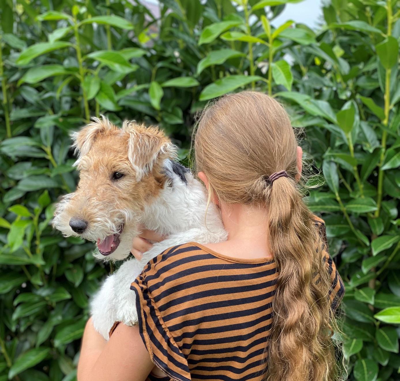 Neues von Ida - Drahthaar Foxterrier of Fair Play - Züchter im VDH